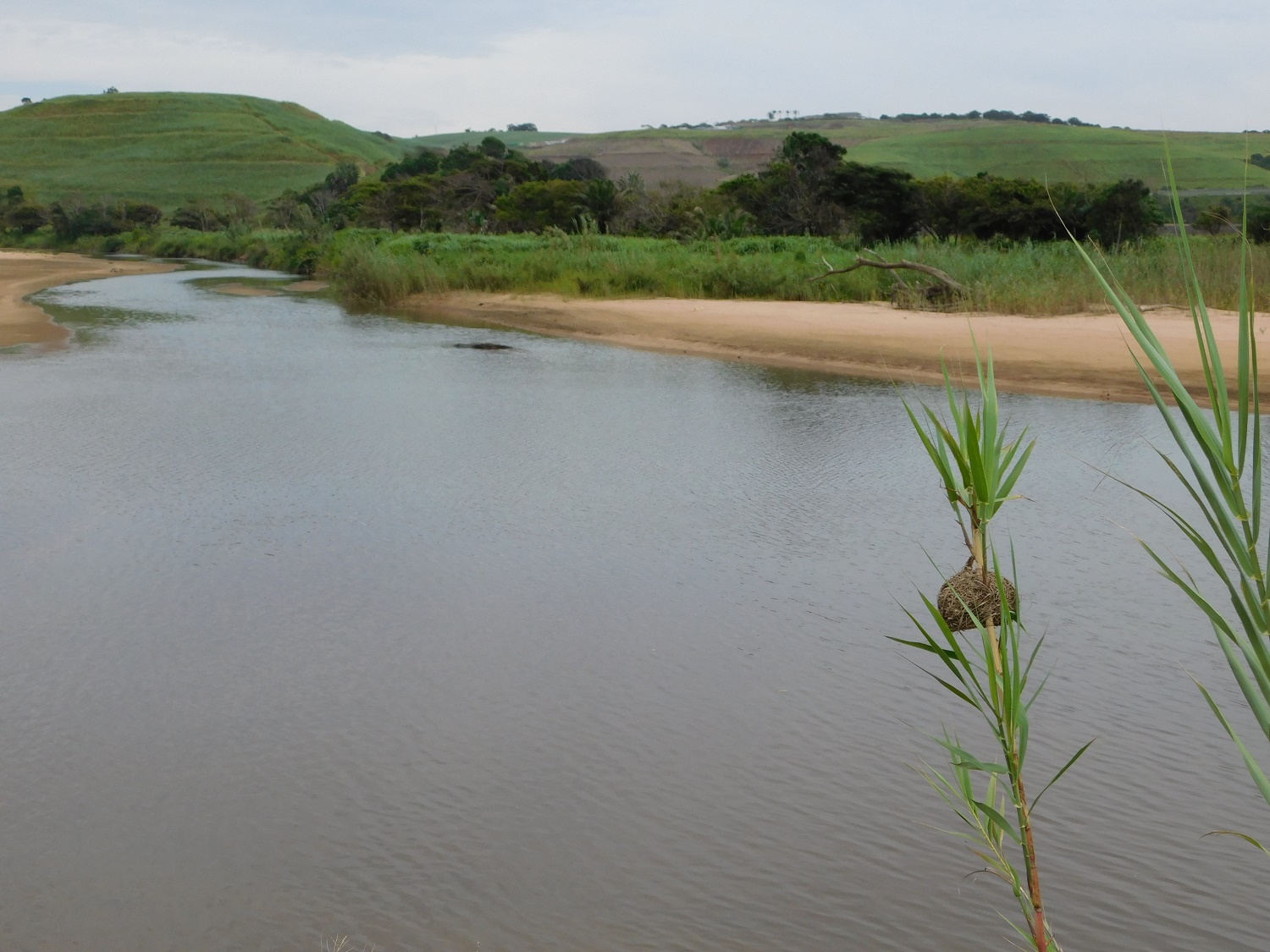WPC Names: Amanzi (water) - Dis Ekke