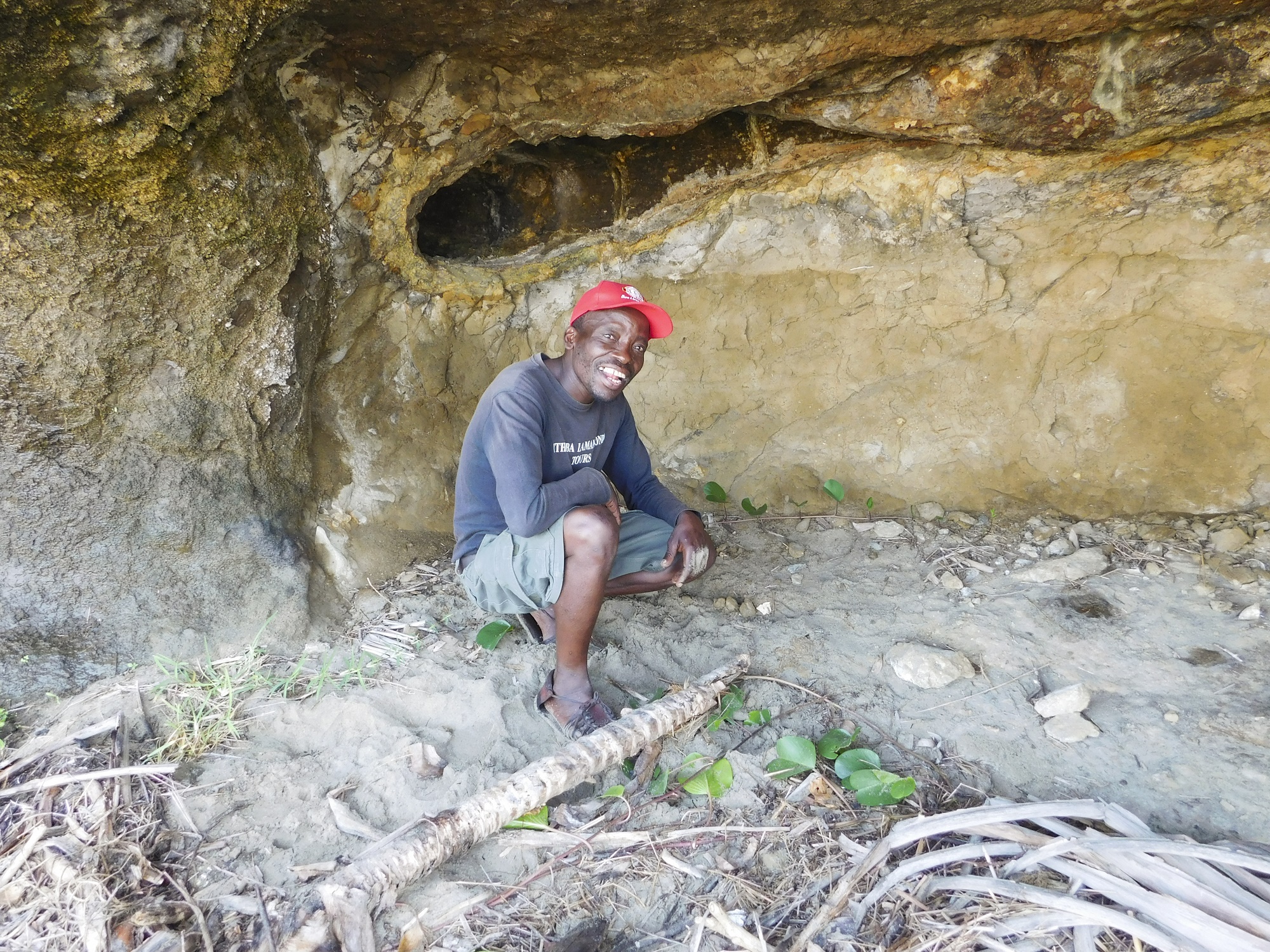 WPC Heritage: A Tree without Roots - Dis Ekke