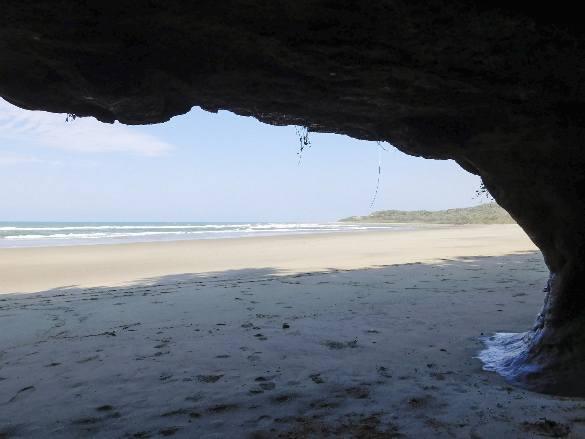 WPC Heritage: A Tree without Roots - Dis Ekke