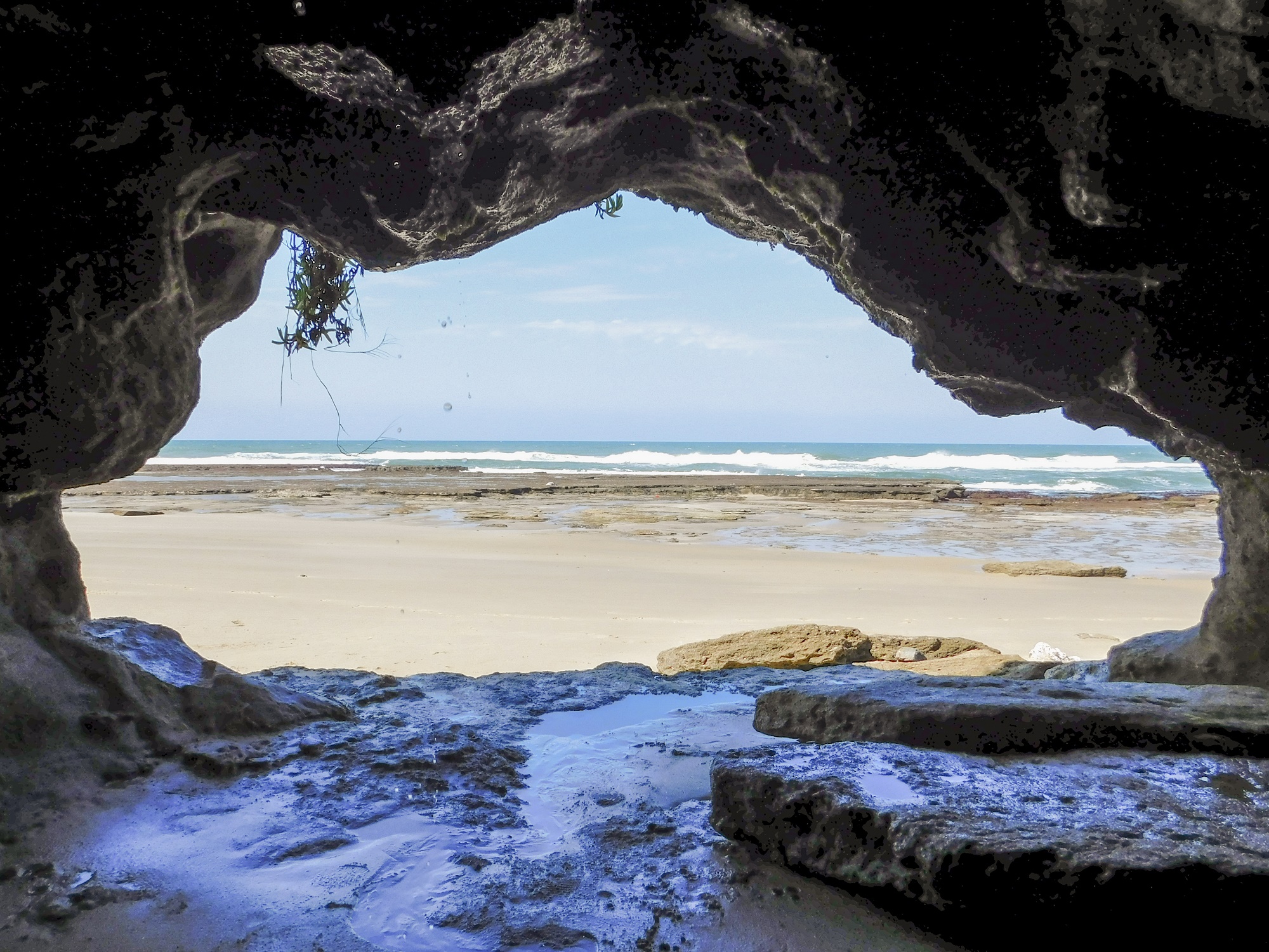 WPC Heritage: A Tree without Roots - Dis Ekke